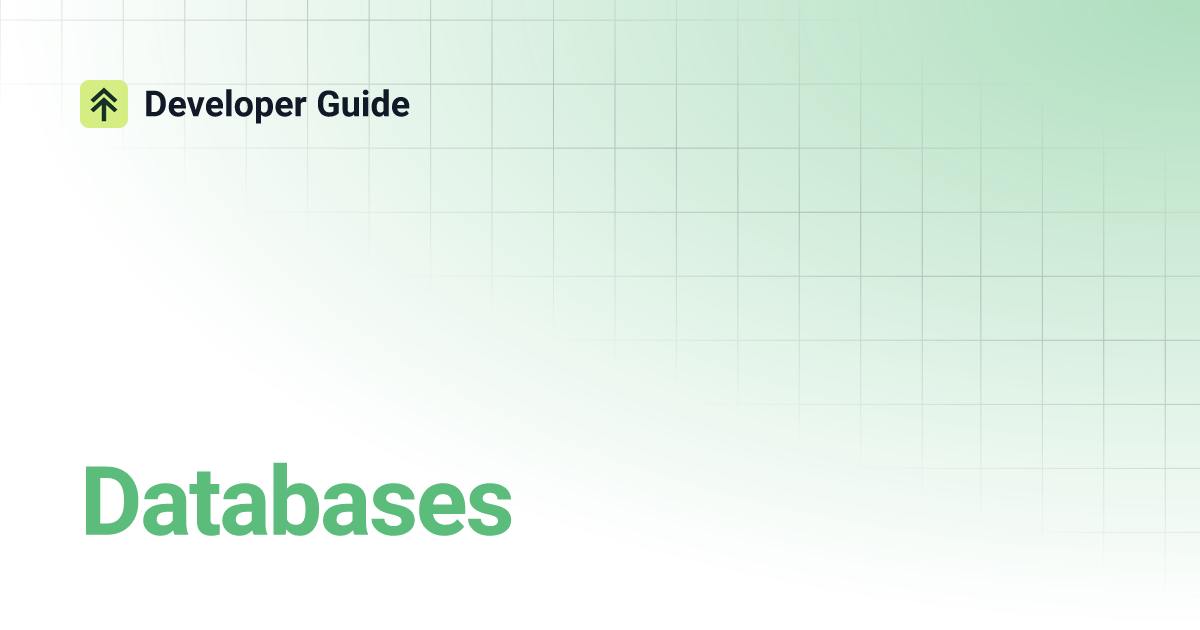 Databases Developer Guide 